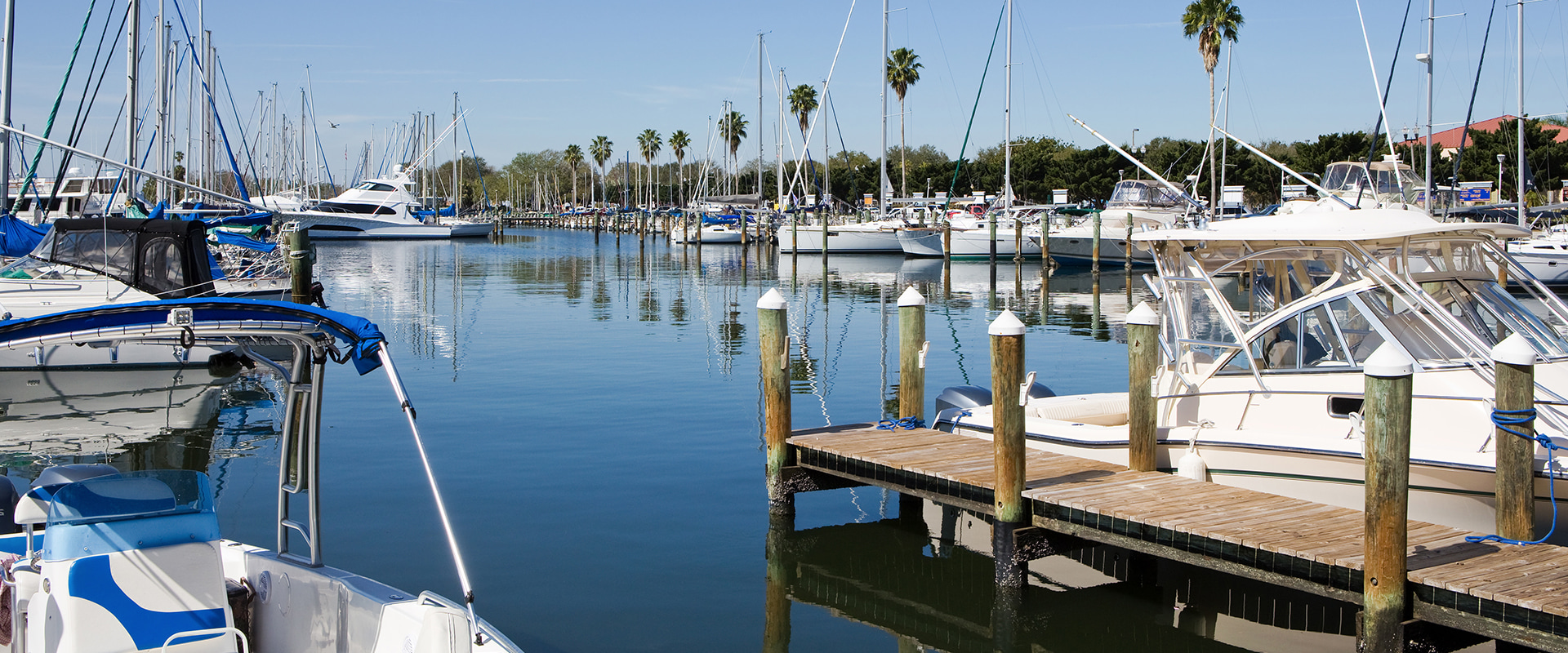 Exploring the Charm of Edgewater, Florida